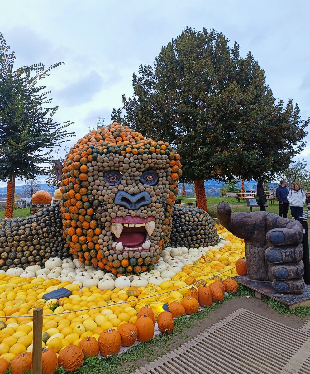 Visiter la Jucker Farm de Seegräben en octobre pour une ambiance digne ...